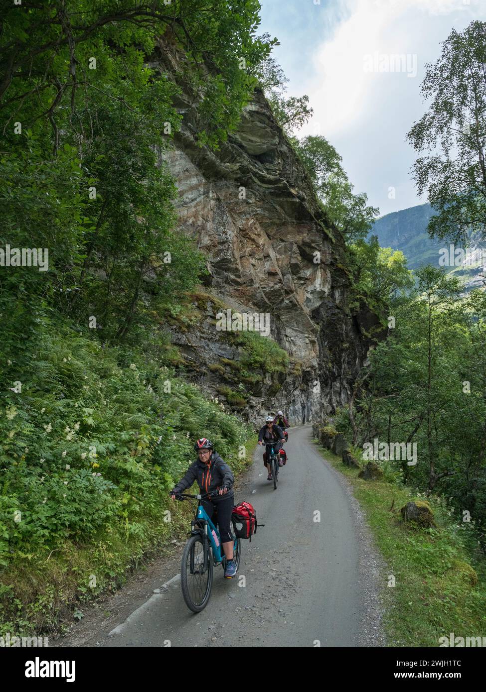 Cyclists on the road down from Myrdal to Flåm, Norway Stock Photo - Alamy
