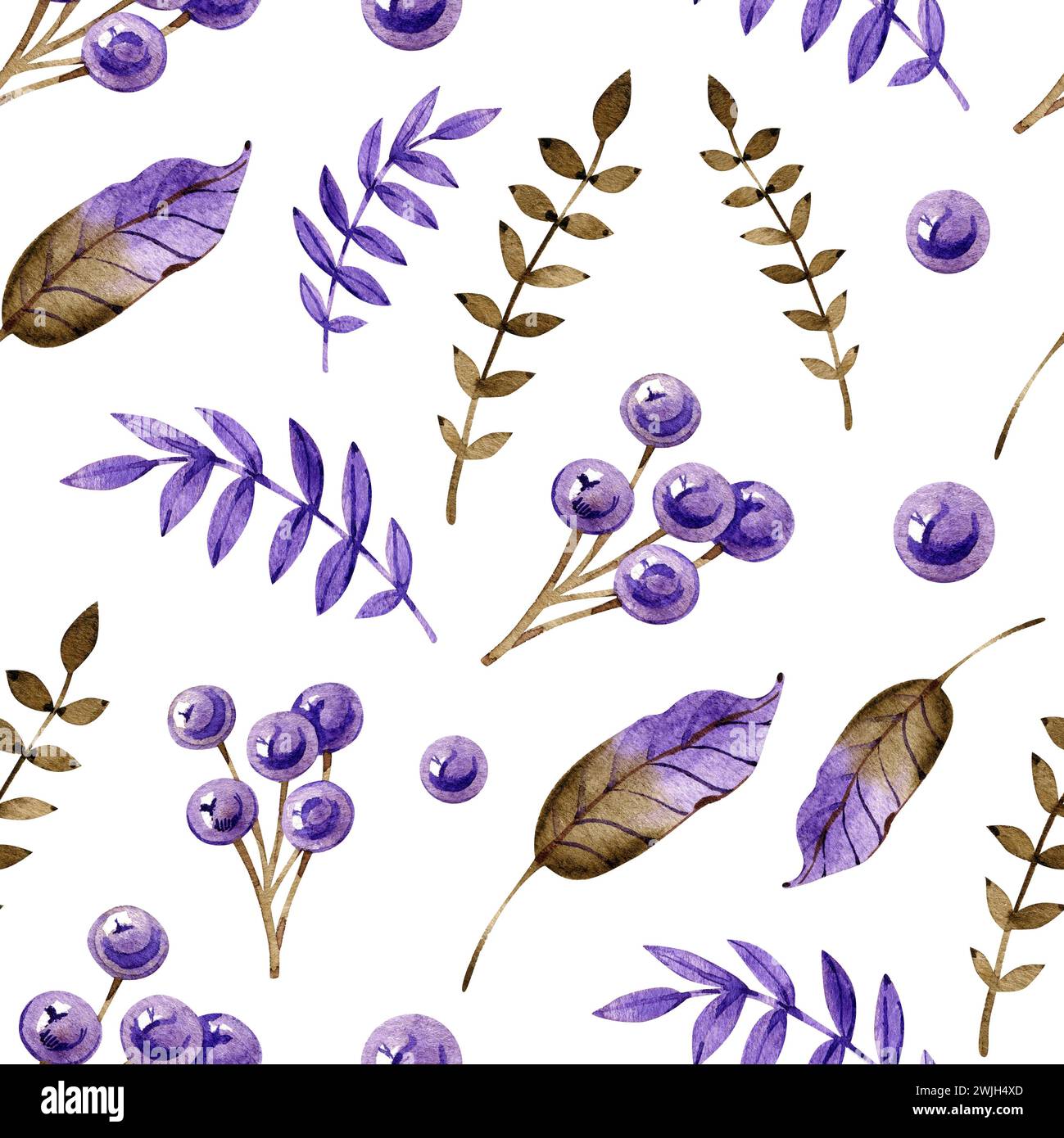 Ferns and petals Cut Out Stock Images & Pictures - Alamy