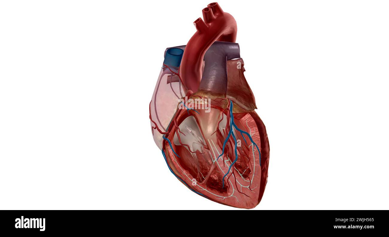 Your family history, personal health history and lifestyle all affect ...