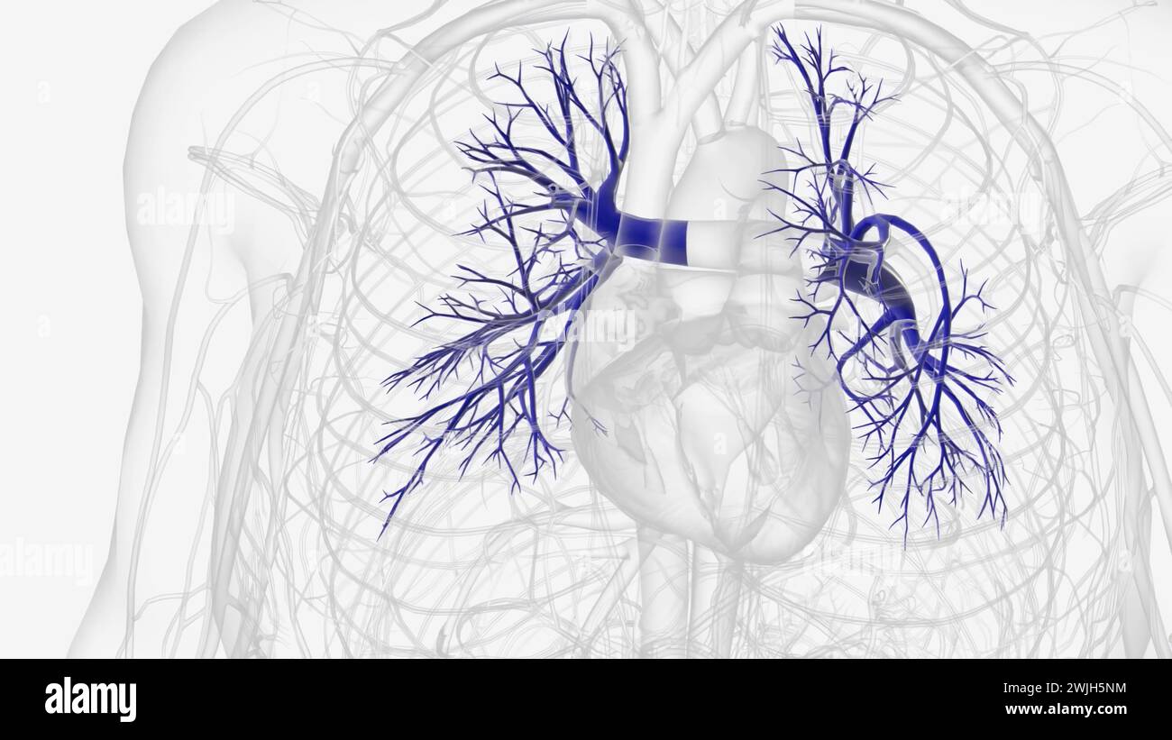 Poor oxygen circulation hi-res stock photography and images - Alamy