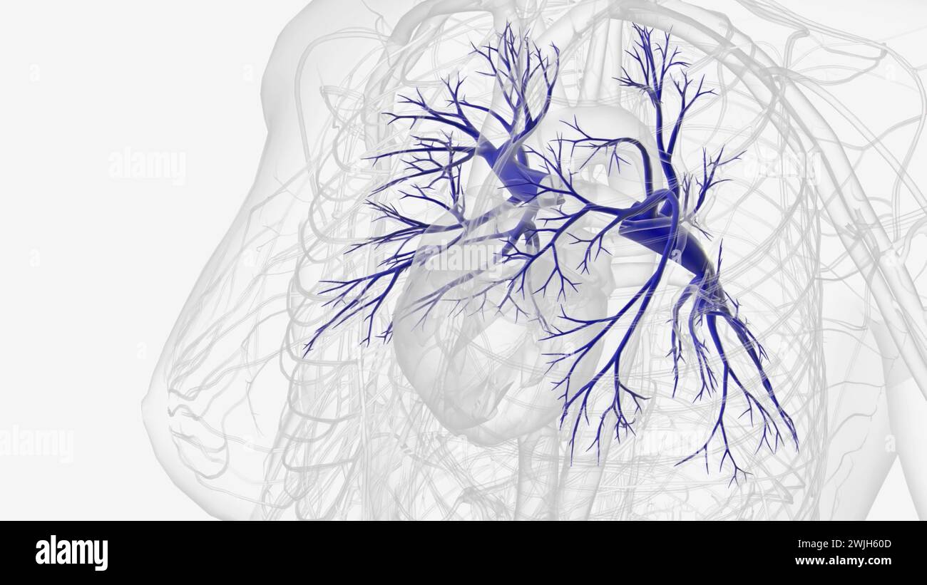 Poor oxygen circulation hi-res stock photography and images - Alamy
