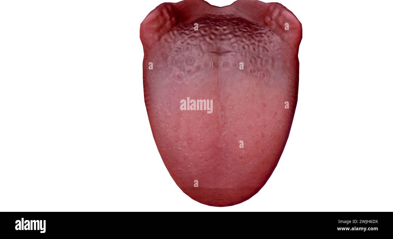 Soft tissue pathology hi-res stock photography and images - Alamy