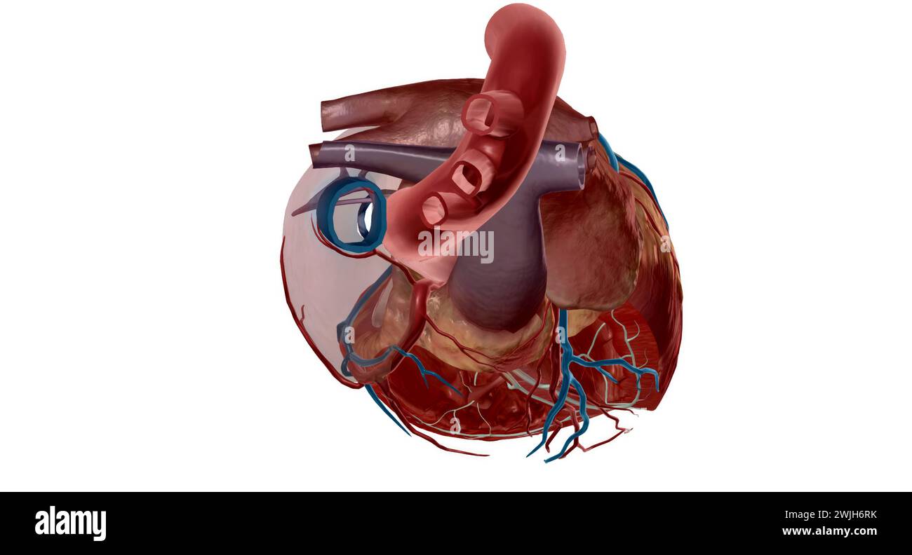 Your family history, personal health history and lifestyle all affect ...