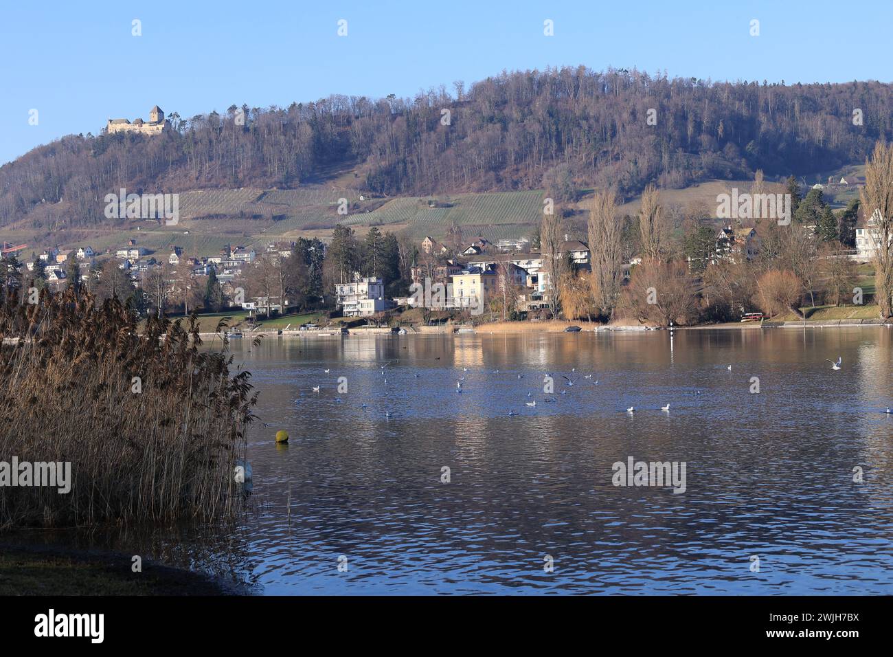 Impressionen von der Insel Werd am Untersee des Bodesees in der Schweiz ...