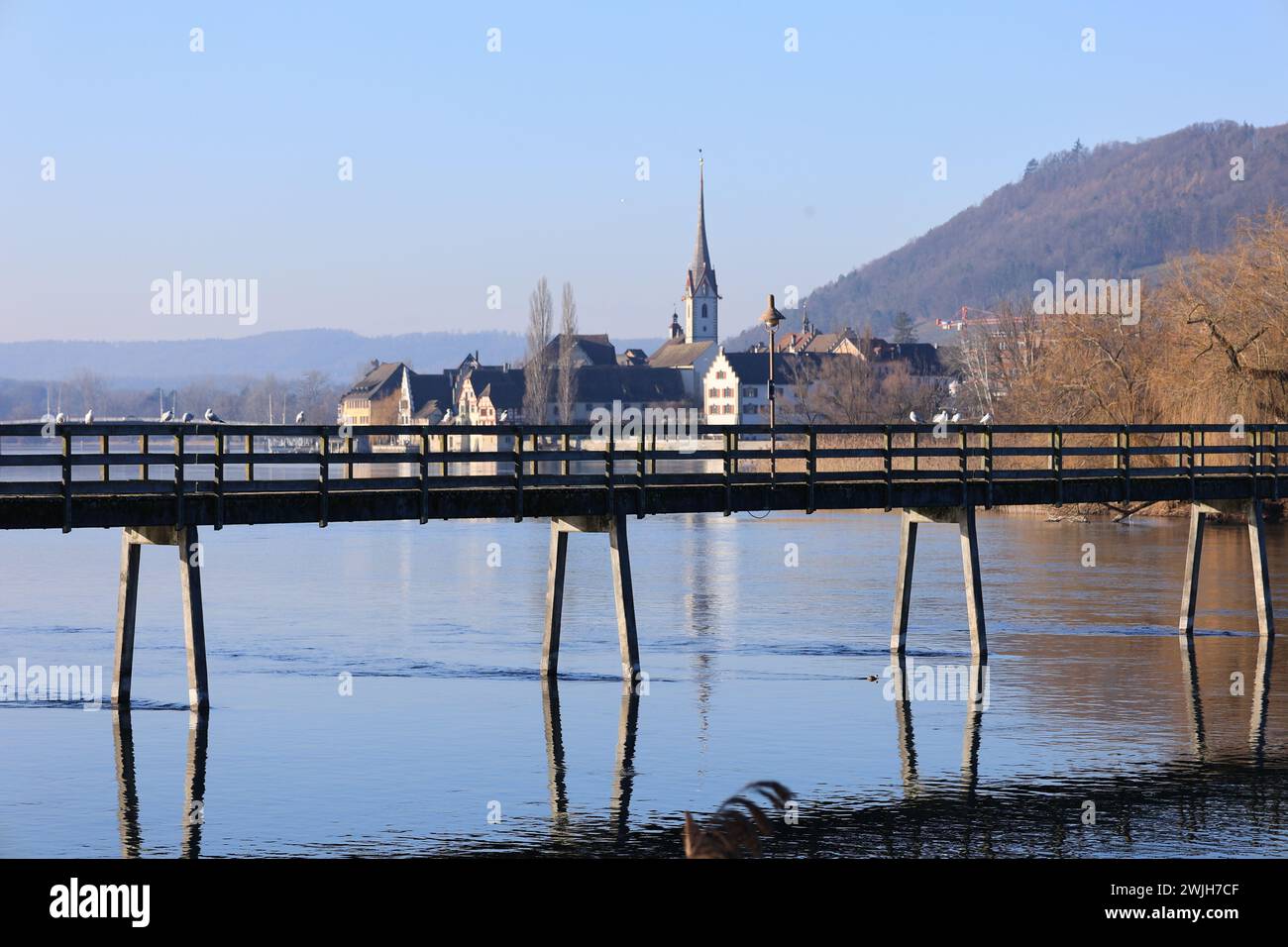 Impressionen von der Insel Werd am Untersee des Bodesees in der Schweiz ...