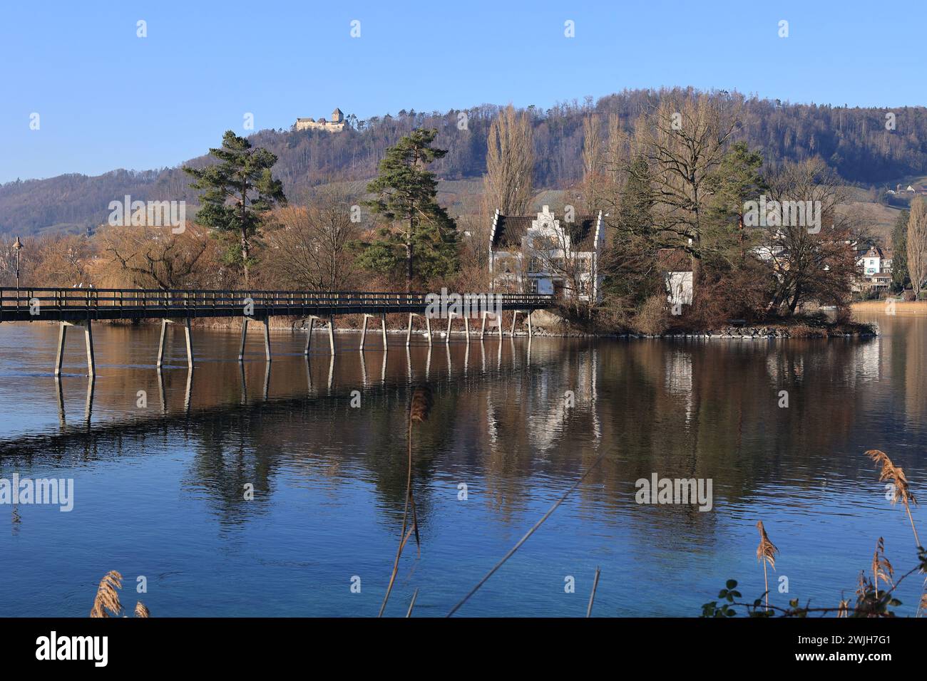 Impressionen von der Insel Werd am Untersee des Bodesees in der Schweiz ...