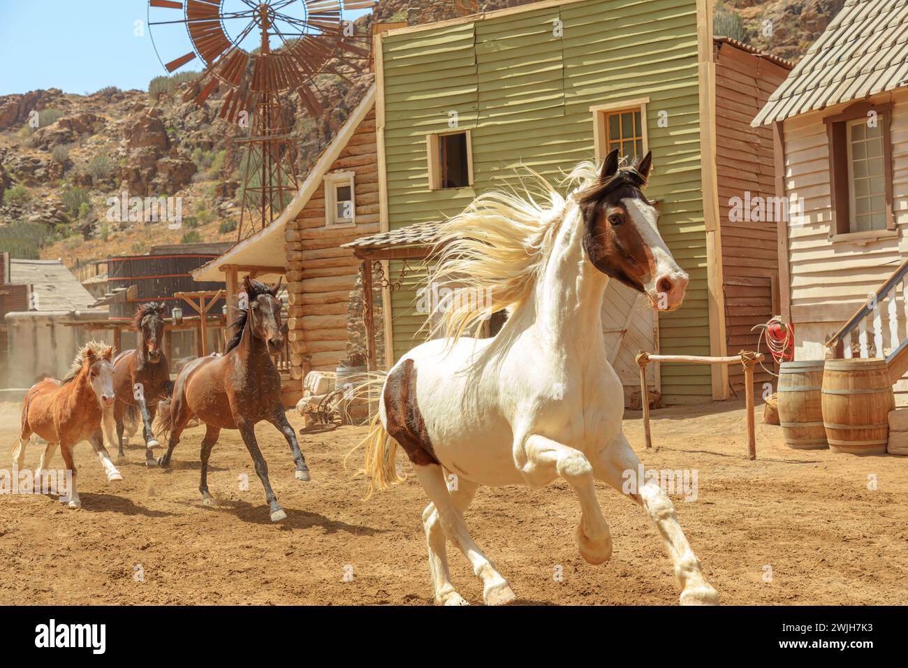 American west horses hi-res stock photography and images - Alamy