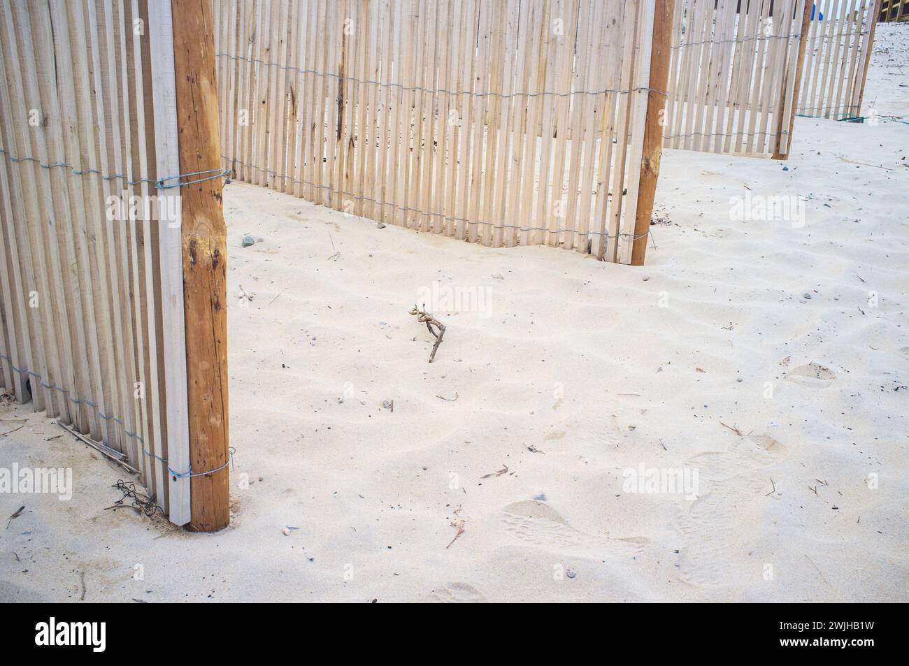 Sand barriers placed to protect coastal ecosystems. Low angle view ...