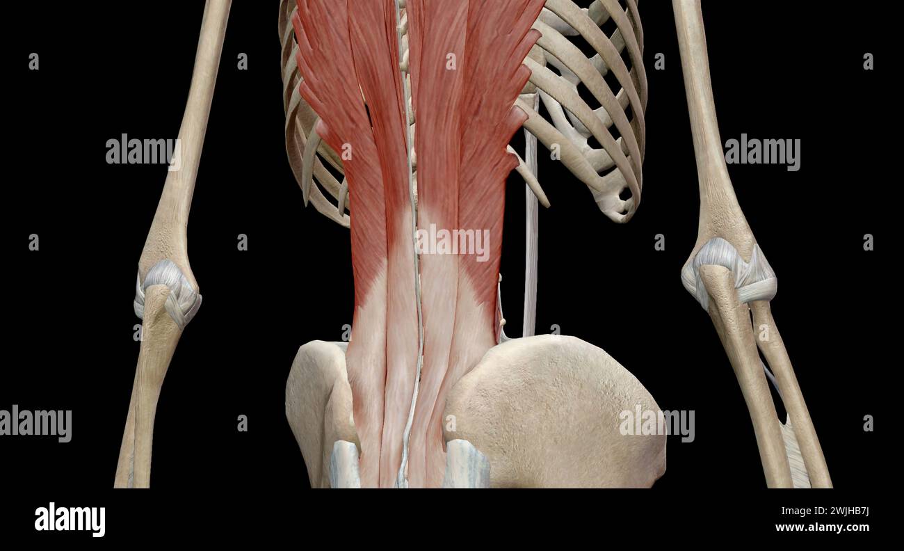 Medical radiation injuries hi-res stock photography and images - Alamy