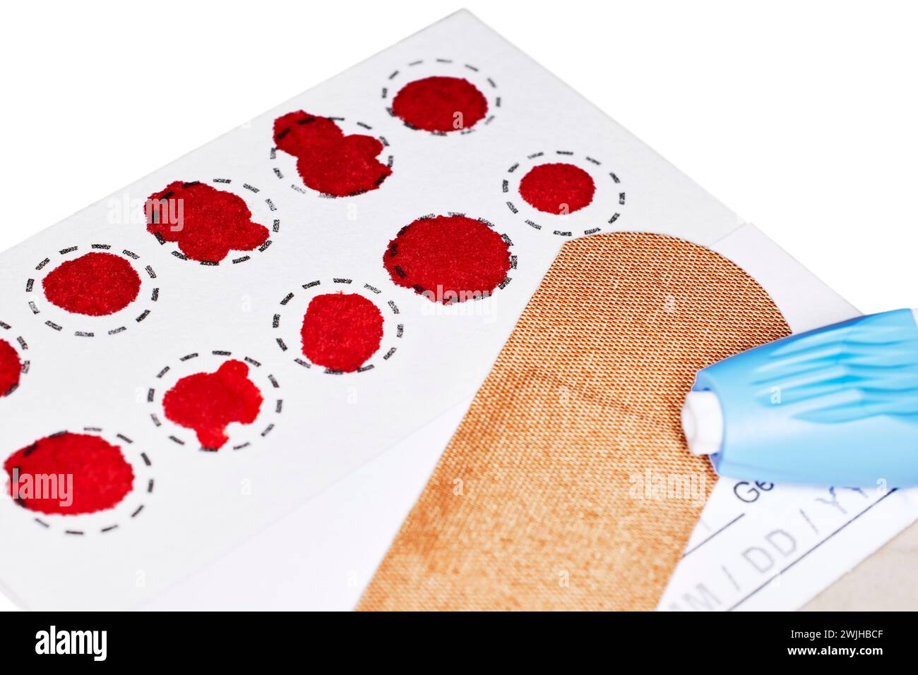 A Completed Blood Spot test card with droplets of blood for hormone ...