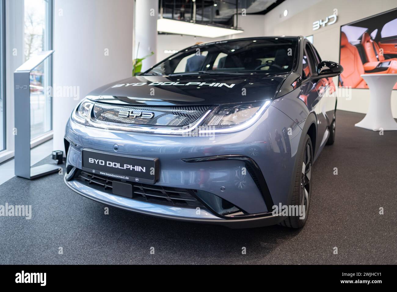 Byd dolphin hi-res stock photography and images - Alamy