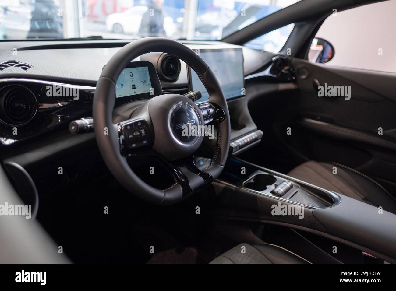 steering wheel, display, Interior, cockpit BYD DOLPHIN Electric Car ...