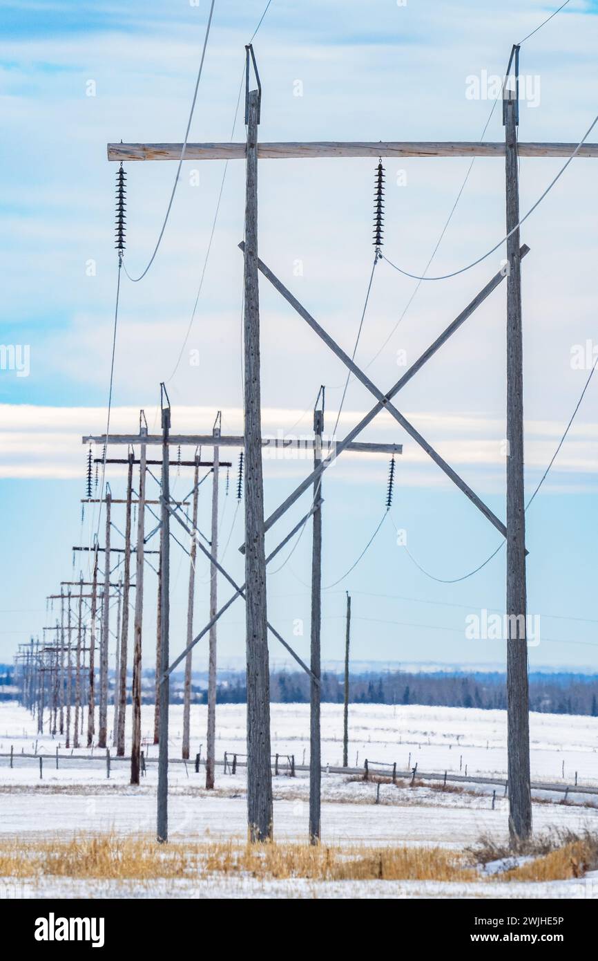 Row of tall wooden transmission towers with electrical lines providing ... Row of tall wooden transmission towers with electrical lines providing ...