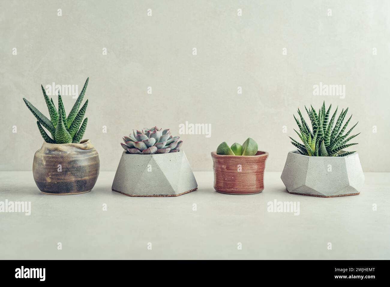 Succulents in pots hi-res stock photography and images - Alamy