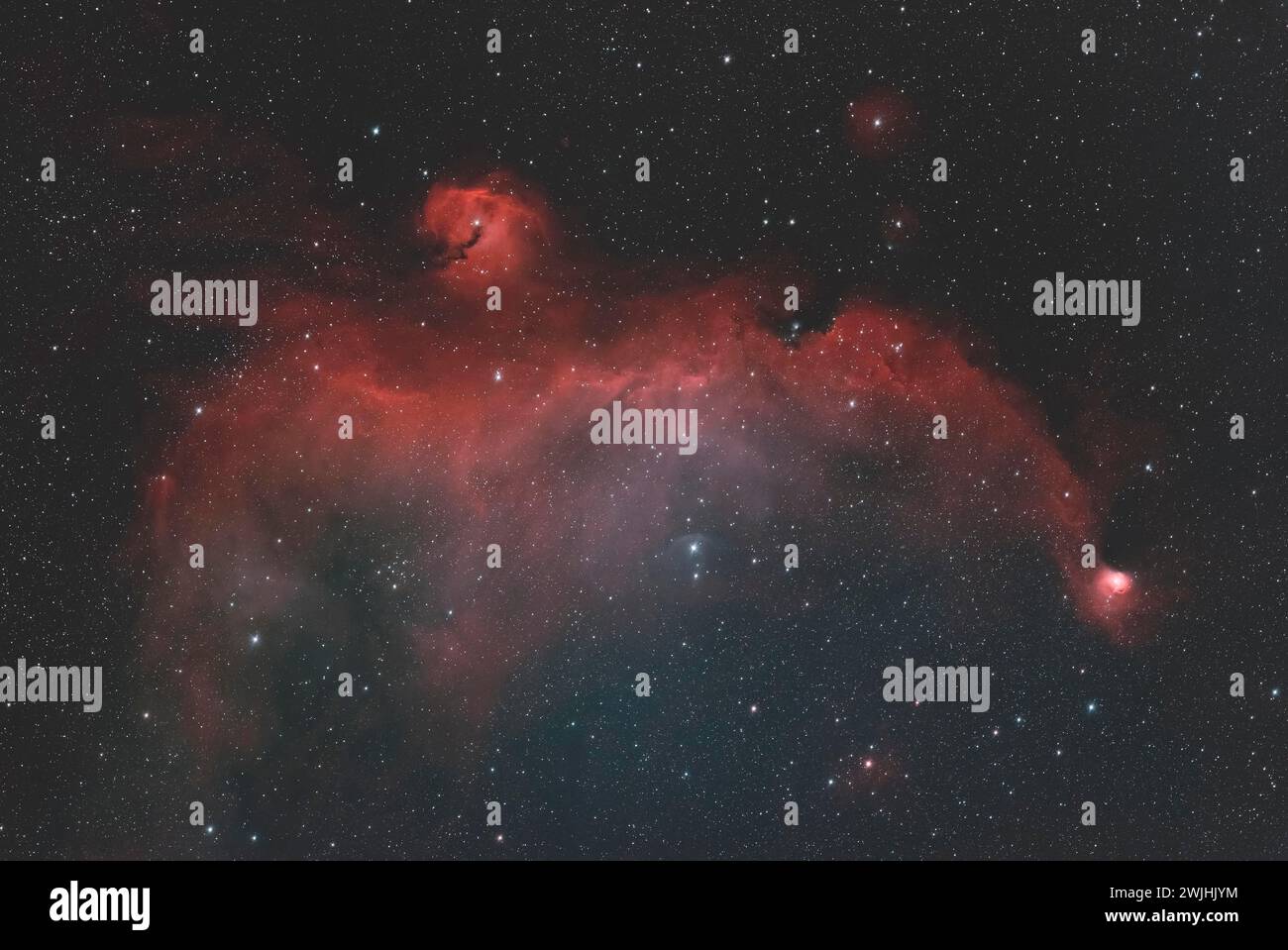 IC2177, NGC2235, NGC2327, Seagull Nebula, foggy landscape with hydrogen ...