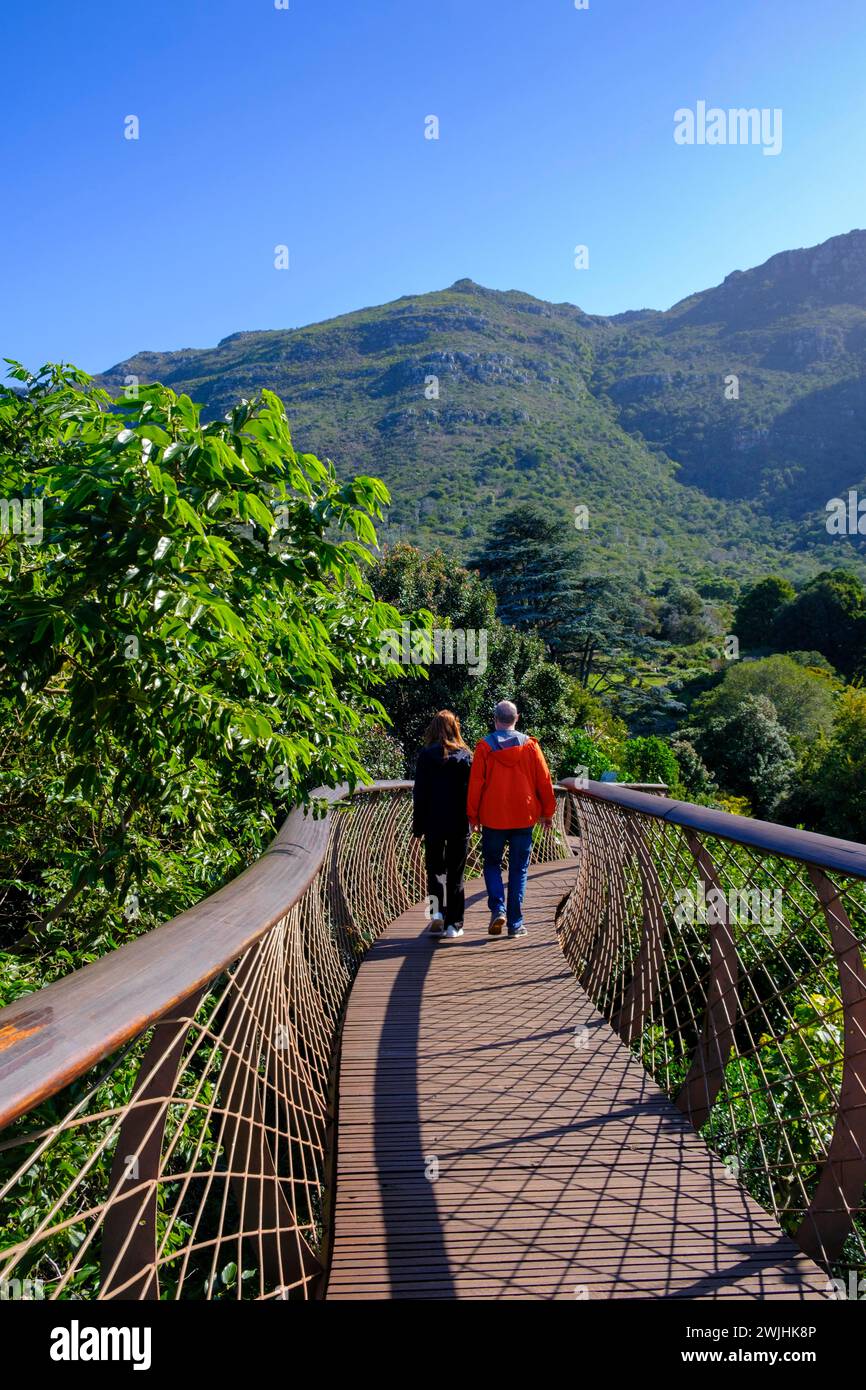 Visitors on the Boomslang Canopy Trail, Kirstenbosch Tree Canopy ...