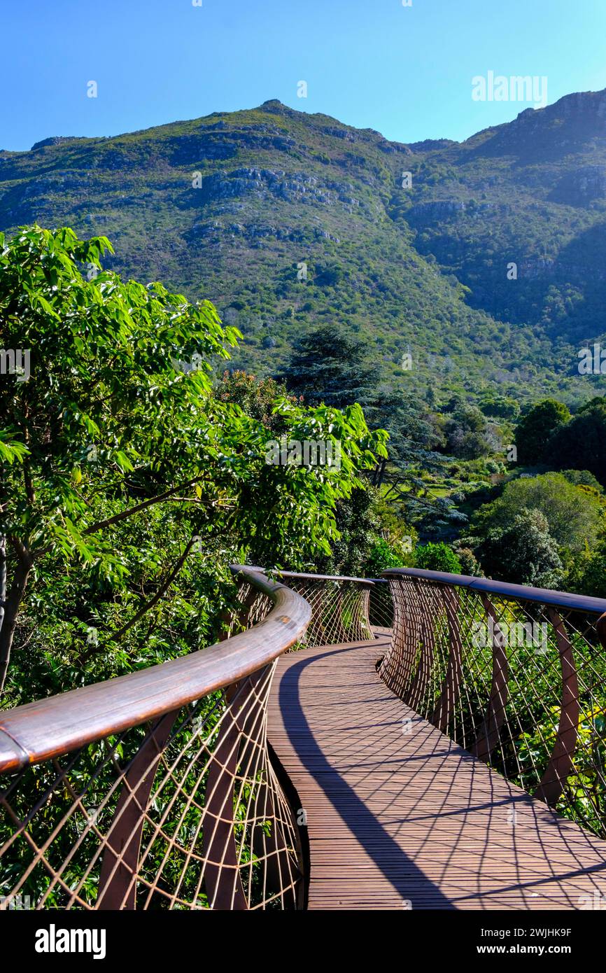 At Boomslang Canopy Trail, Kirstenbosch Tree Canopy Walkway ...