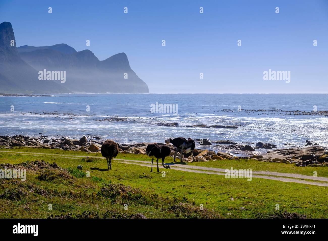 Buffels Bay, Cape of Good Hope, Cape Peninsula, Western Cape, South ...