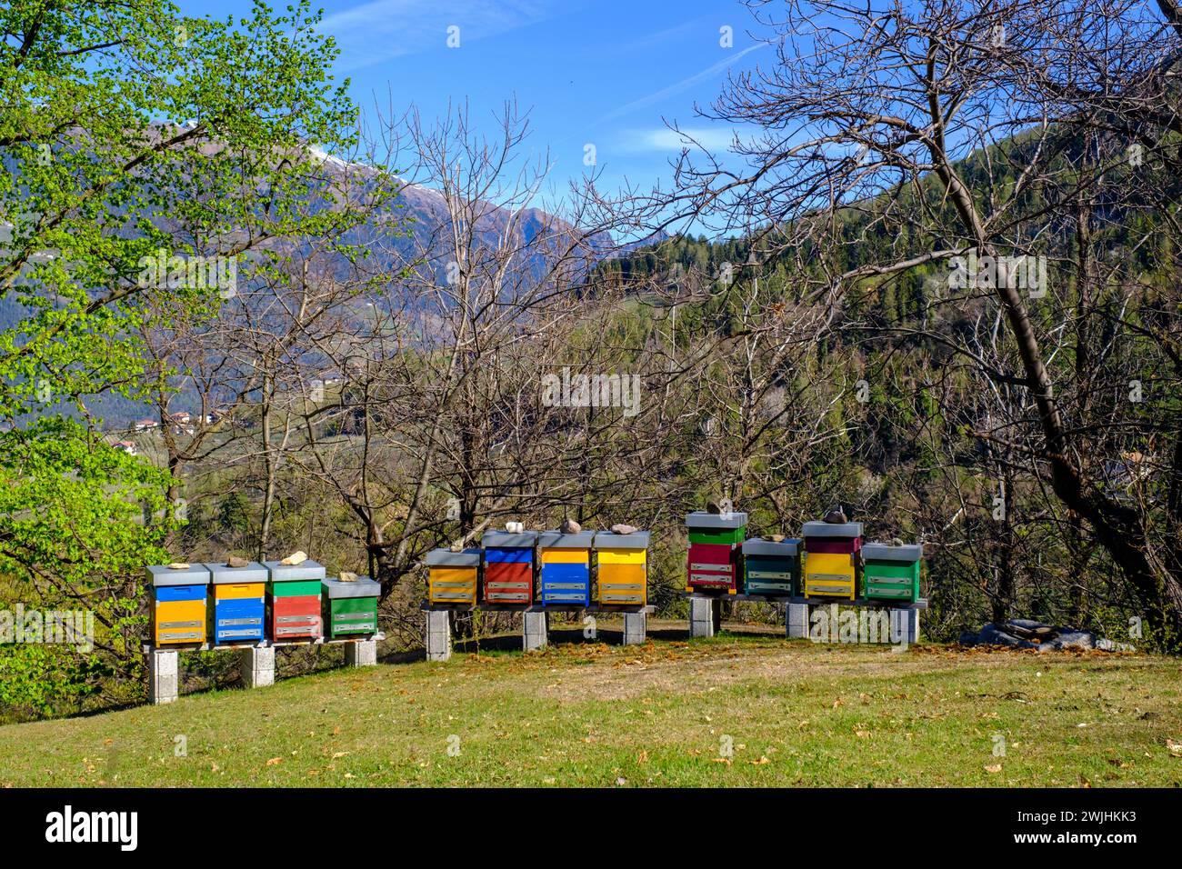 Colorful beehives italy hi-res stock photography and images - Alamy