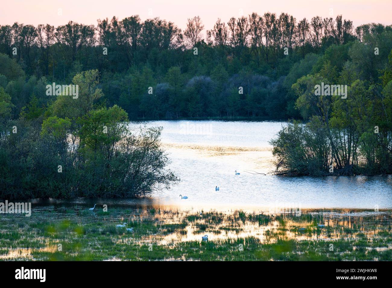 Barnbruchswiesen hi-res stock photography and images - Alamy