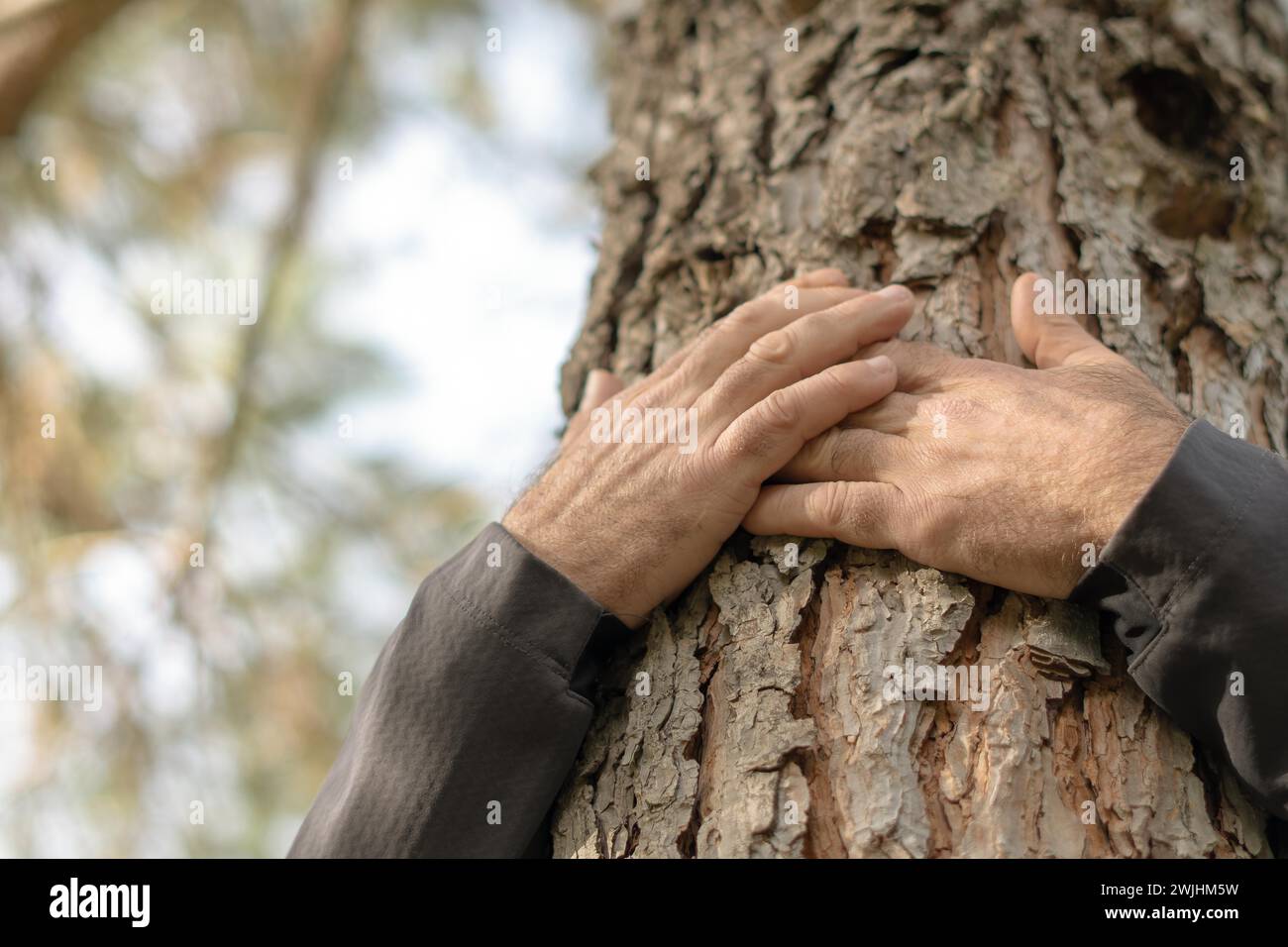 Man embracing a tree in the forest, concept of love for nature Stock ...