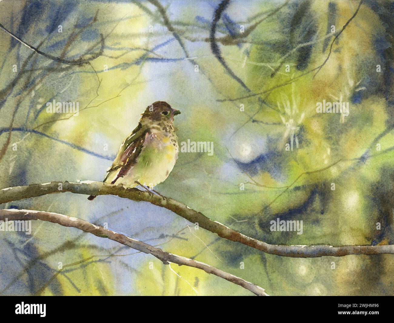 Colorful watercolor painting hi-res stock photography and images - Alamy