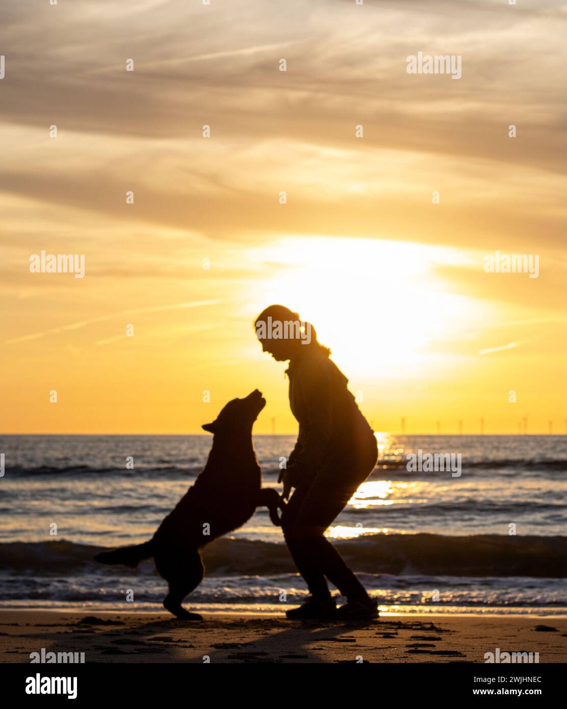 Silhouette dog jumping hi-res stock photography and images - Alamy