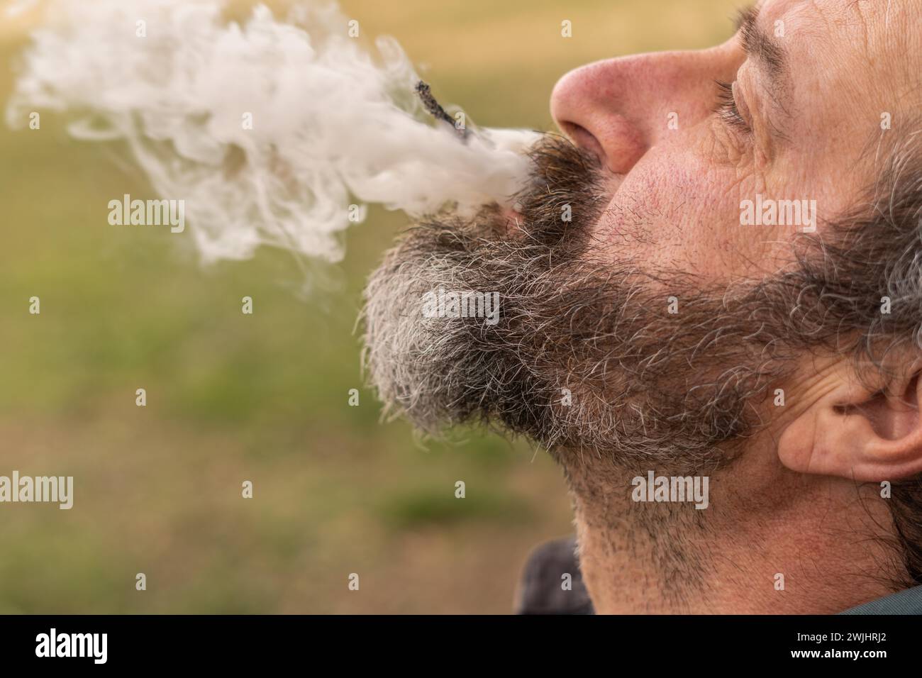Close-up of a bearded man in profile smoking a marijuana cigarette and ...
