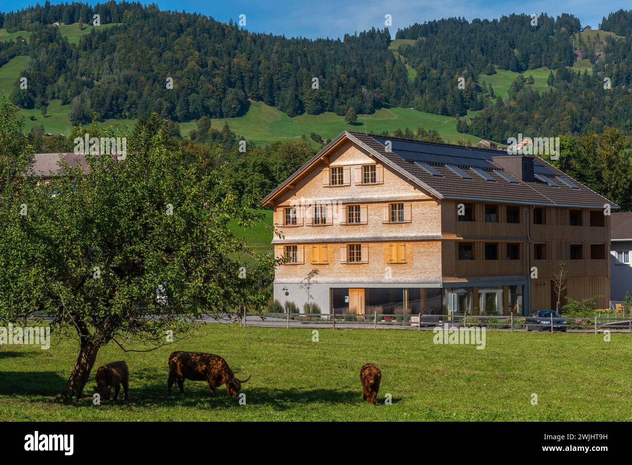 Schwarzenberg, Bregenz district, Bregenzerwald, newTimber house ...