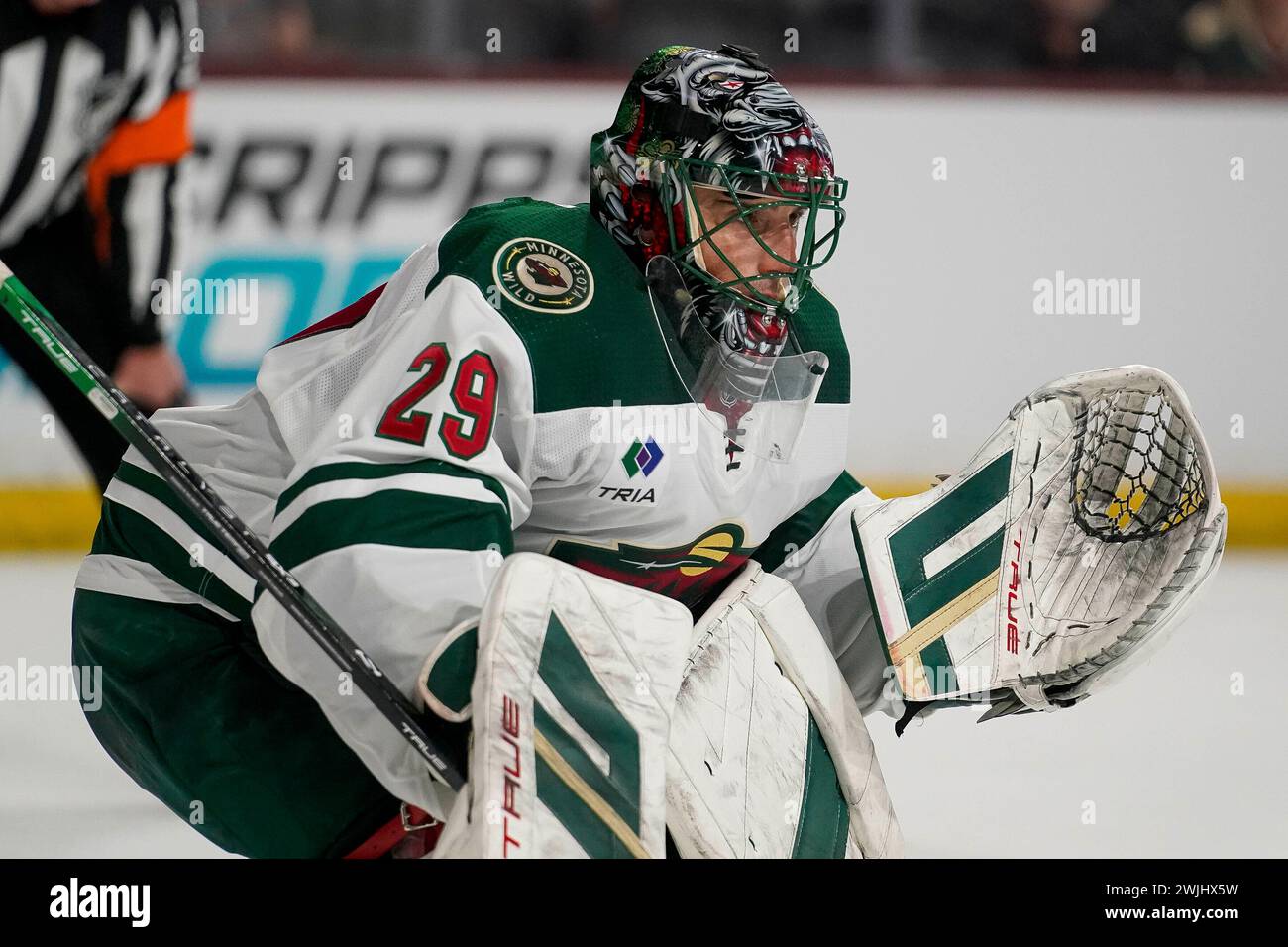 Minnesota Wilds goalie Marc-Andre Fleury (29) during an NHL hockey game ...