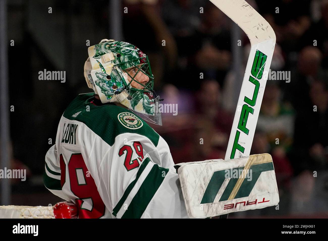 Minnesota Wilds goalie Marc-Andre Fleury (29) during an NHL hockey game ...