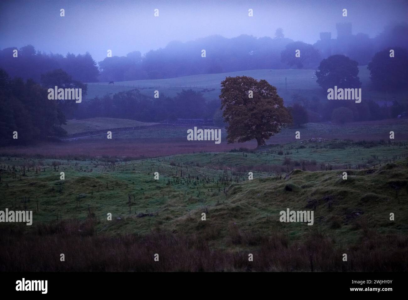 Foggy morning landscape near Windermere, Lake District, Cumbria ...