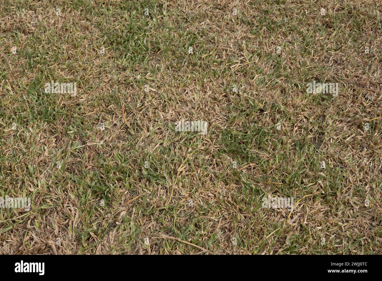 Grass dirt overhead hi-res stock photography and images - Alamy