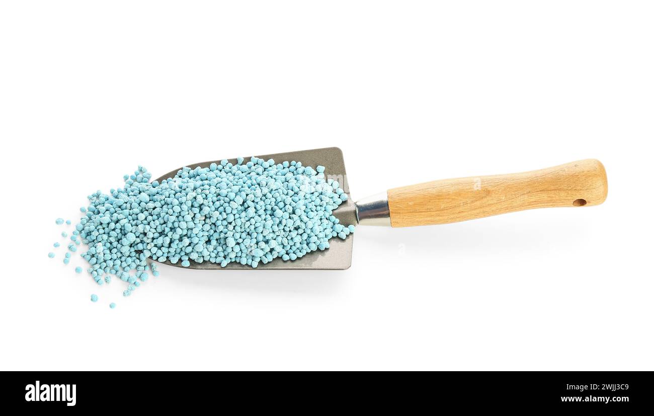 Gardening shovel with blue granular fertilizer isolated on white ...