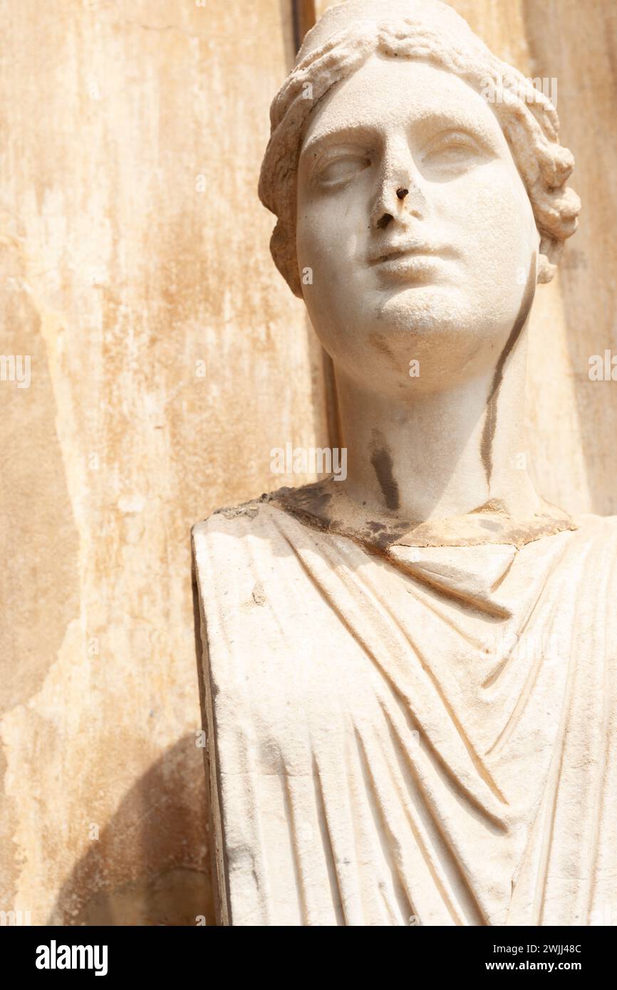 Vatican museum gallery of the statues hi-res stock photography and ...