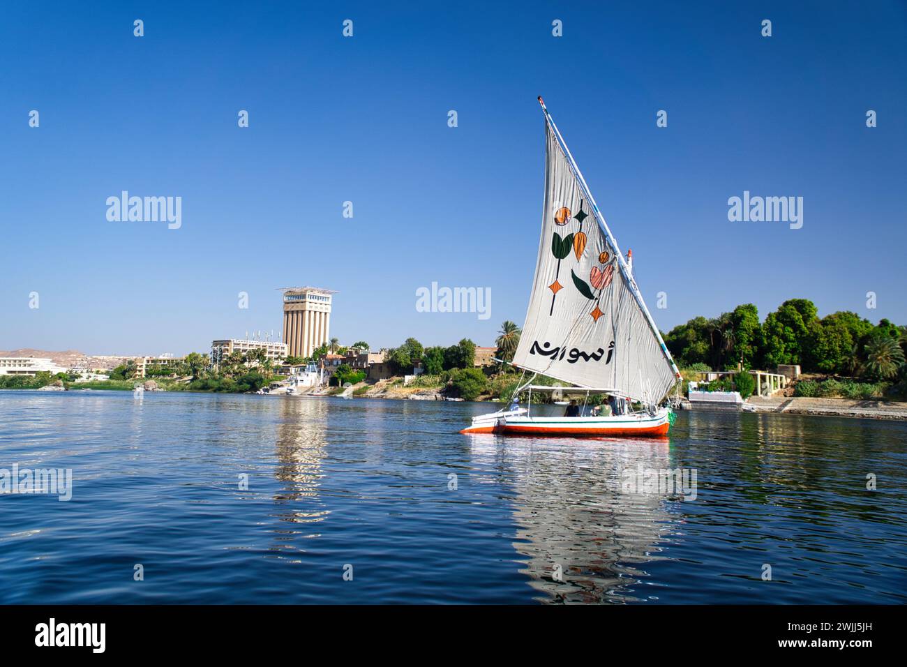 Panoramic view of landscape, flora and fauna around the world largest ...