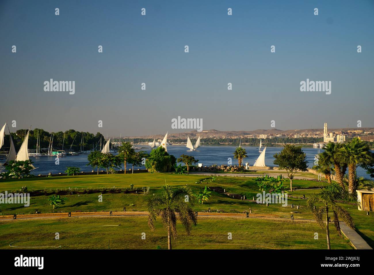 Panoramic view of landscape, flora and fauna around the world largest ...
