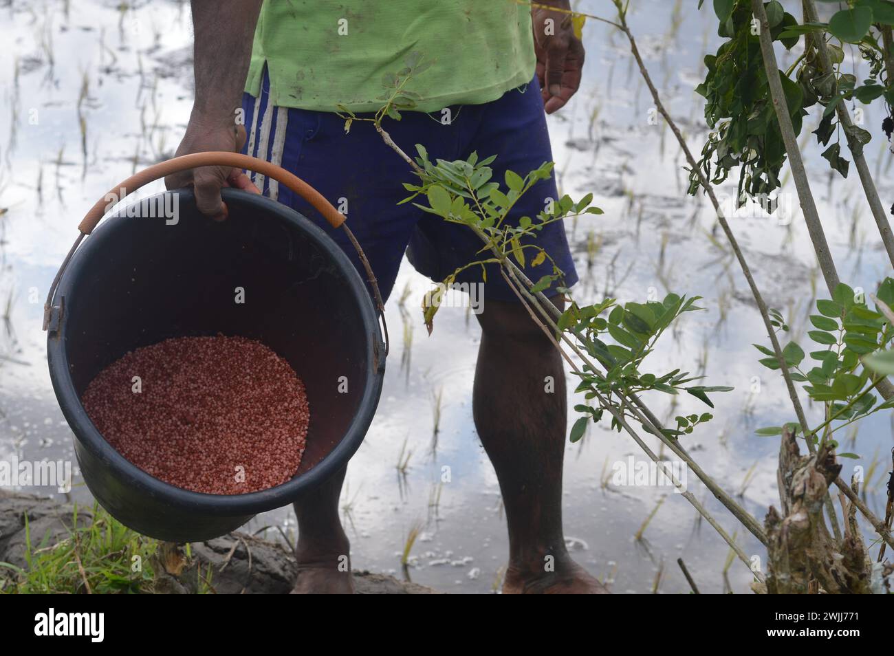 Fertilize dirt hi-res stock photography and images - Alamy