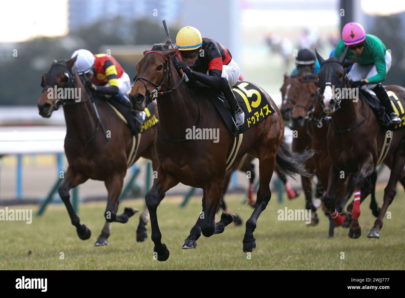 2024/02/10 KYOTO 11R RAKUYO STAKES Doe Eyes / Aurelien Lemaitre Jockey ...