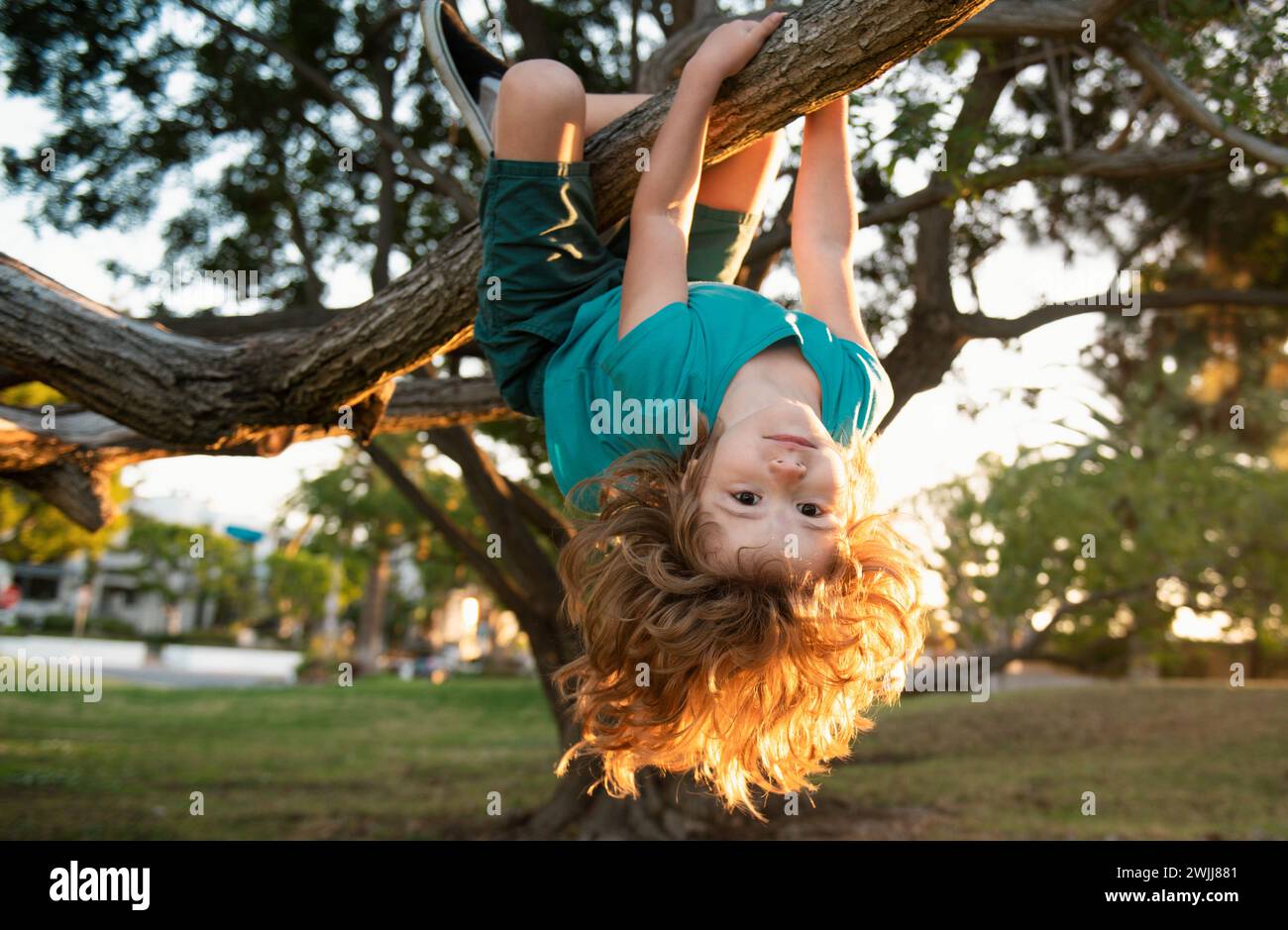 Little kid on a tree branch. Climbing and hanging child. Portrait of a ...