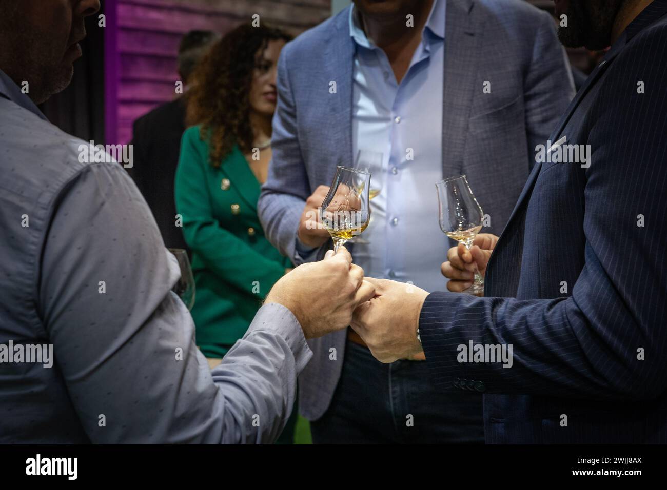 Picture of a group of friends drinking together glasses of serbian ...