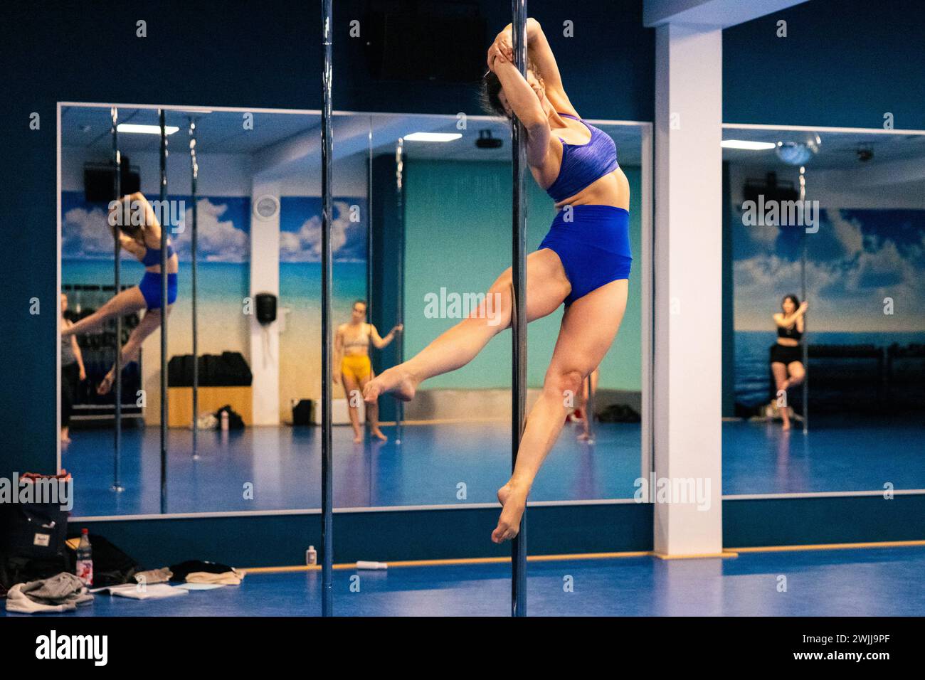 PRODUCTION - 15 February 2024, Hesse, Frankfurt/Main: Pole dance ...