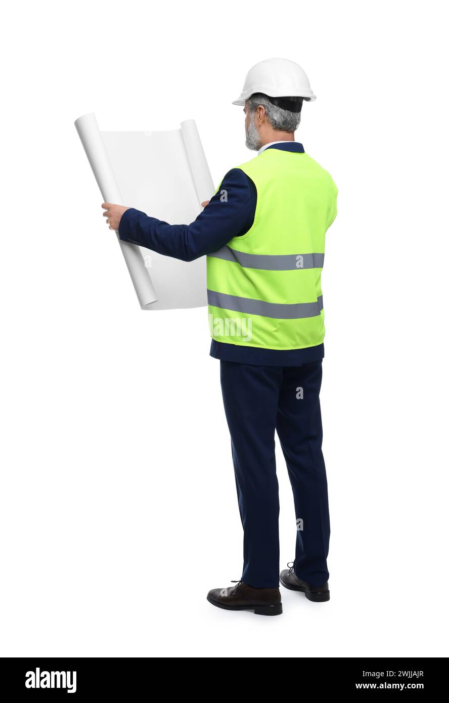 Architect in hard hat holding draft on white background, back view ...