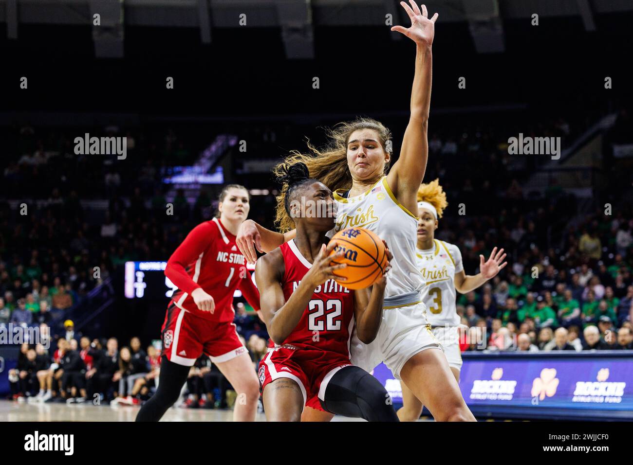 2024 0175 jpg hi-res stock photography and images - Alamy