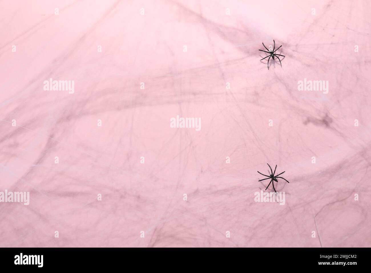 Cobweb and spiders on pink background, top view Stock Photo - Alamy