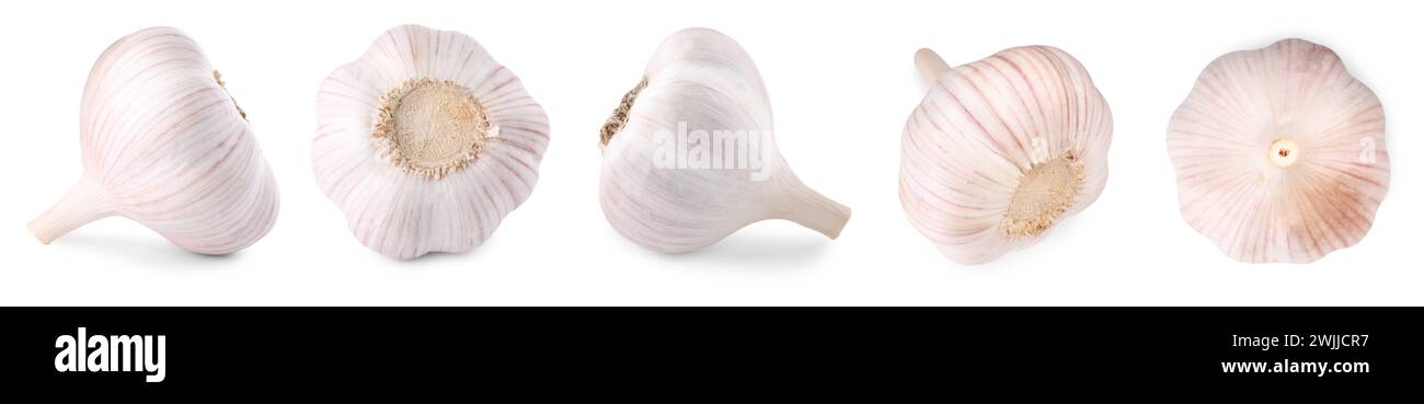 Fresh garlic bulbs isolated on white, set Stock Photo - Alamy