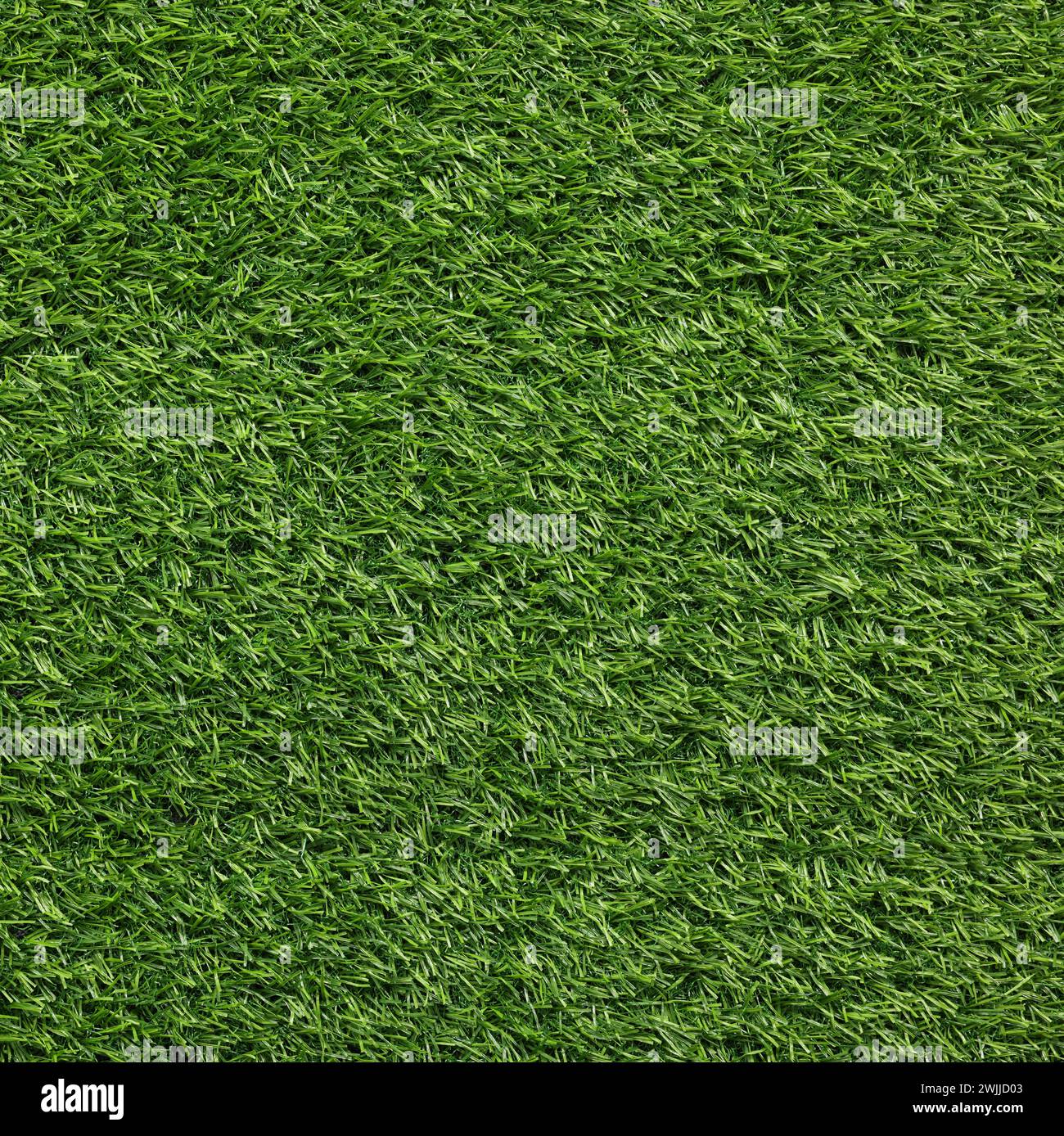 Fresh green grass as background outdoors, top view Stock Photo - Alamy