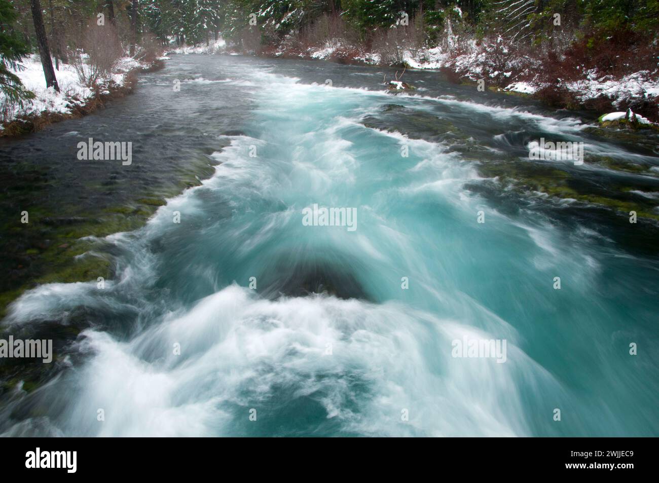 Wizard forest hi-res stock photography and images - Alamy