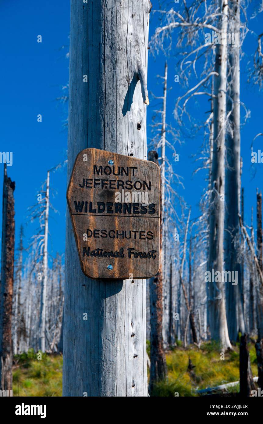 Wilderness sign along Pacific Crest Trail (PCT) in B&B Complex burn, Mt ...