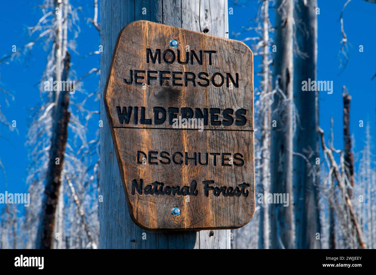 Wilderness sign along Pacific Crest Trail (PCT) in B&B Complex burn, Mt ...